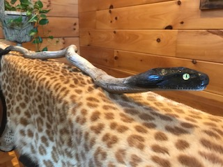 Wooden Snake Carving by Doug Perkins – Handmade Glass Eyes