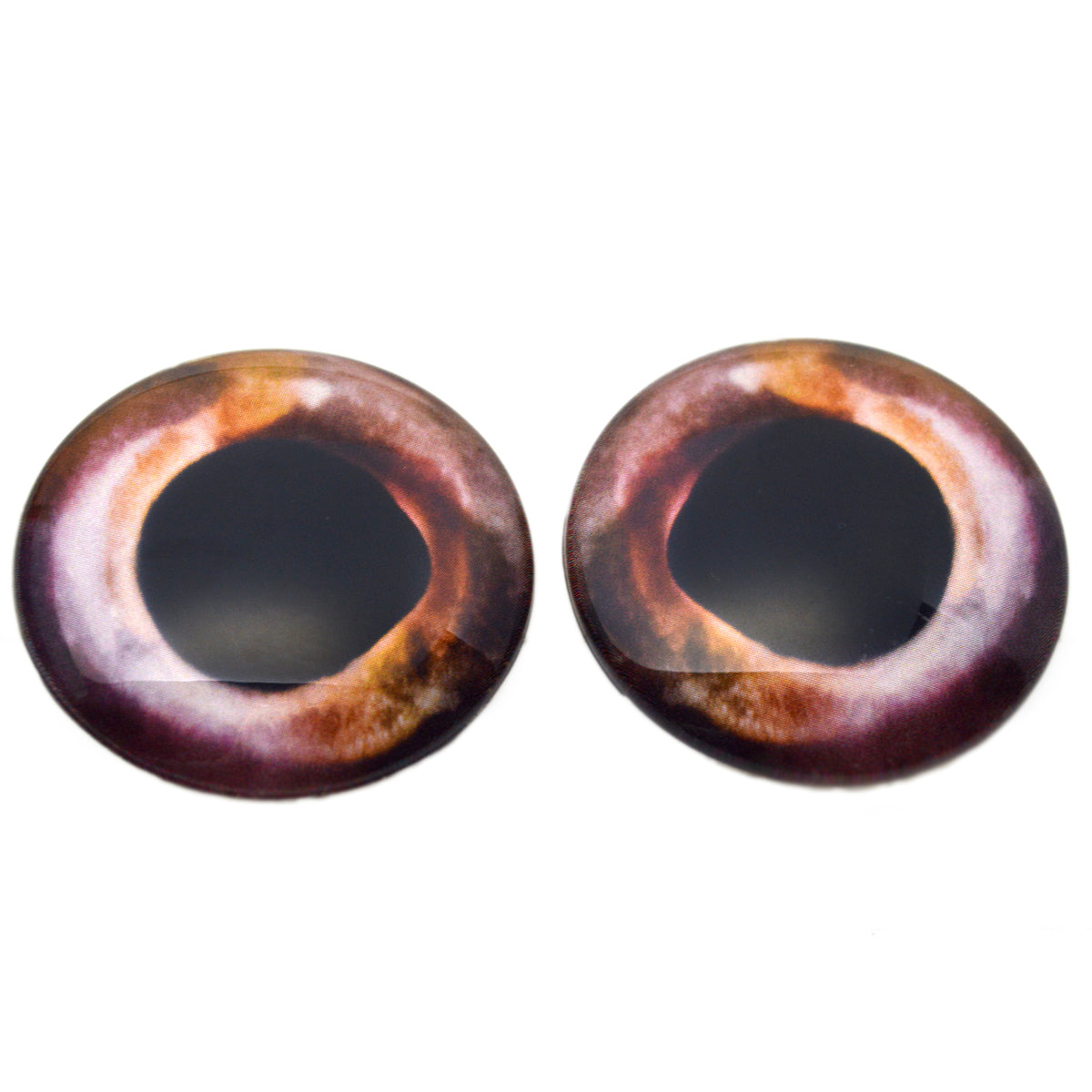 Barracuda Glass Eyes – Handmade Glass Eyes