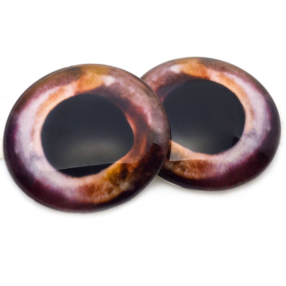 Barracuda Glass Eyes – Handmade Glass Eyes