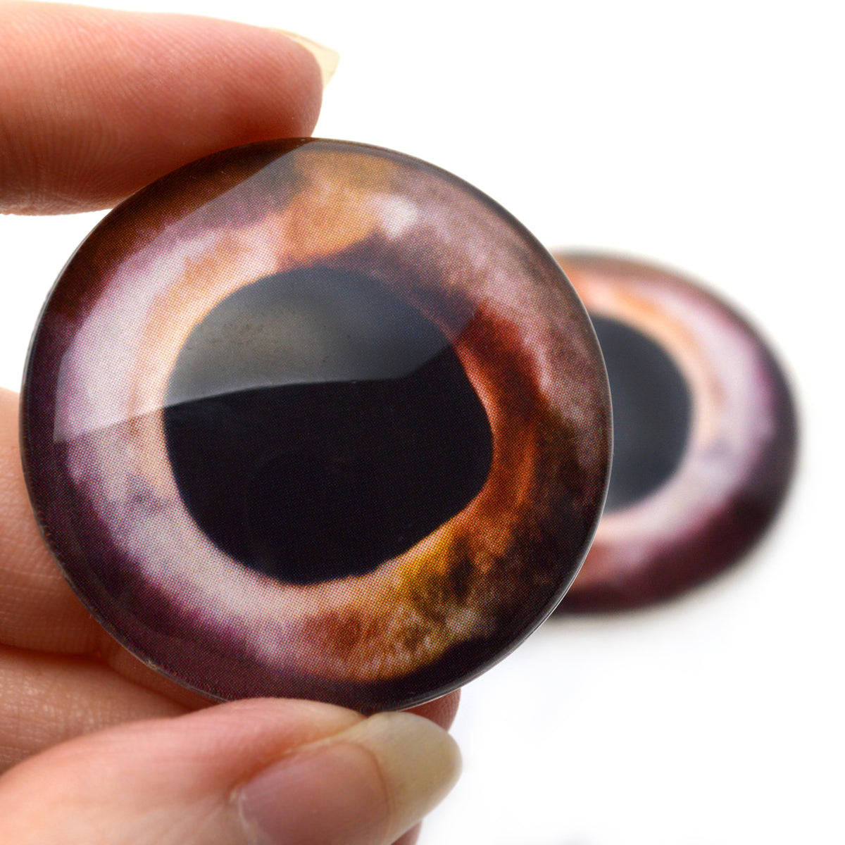 Barracuda Glass Eyes – Handmade Glass Eyes