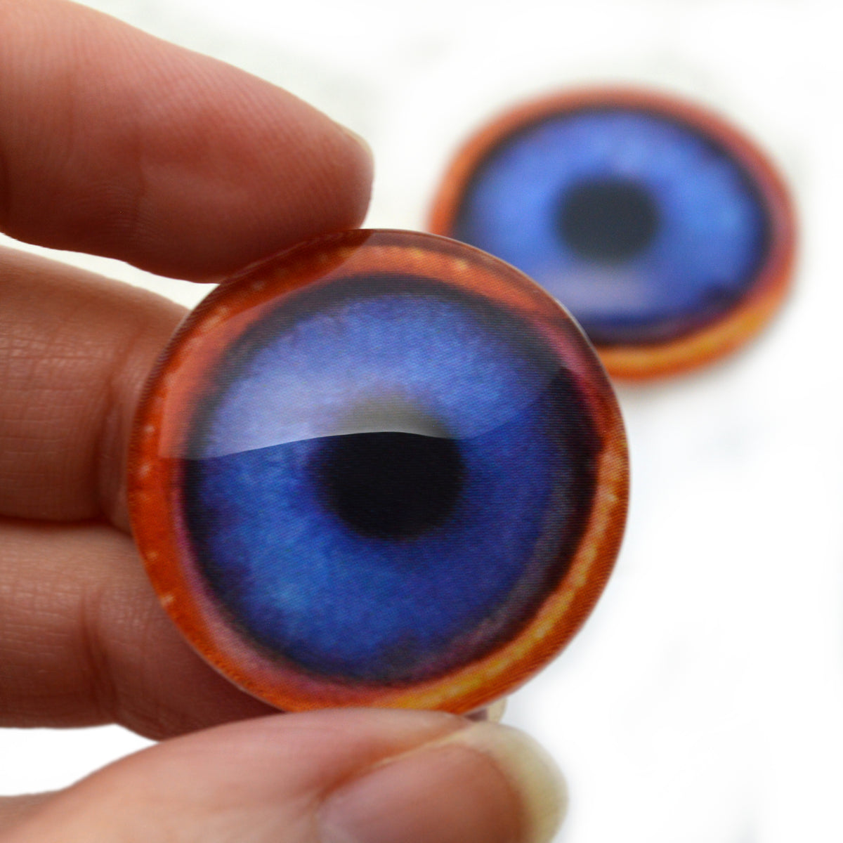 Blue Goose Glass Bird Eyes – Handmade Glass Eyes