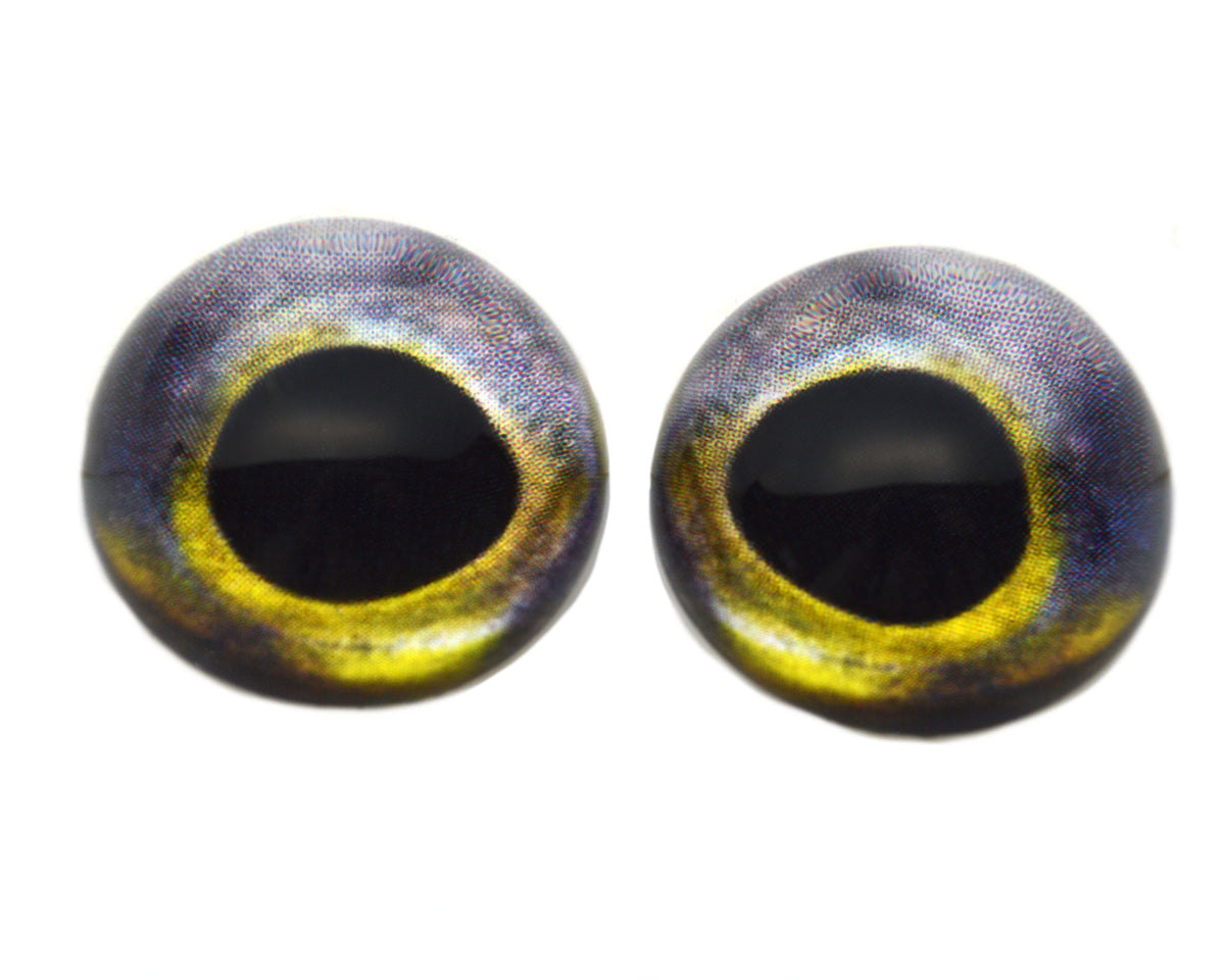 High Domed Northern Pike Predator Fish Glass Eyes – Handmade Glass Eyes