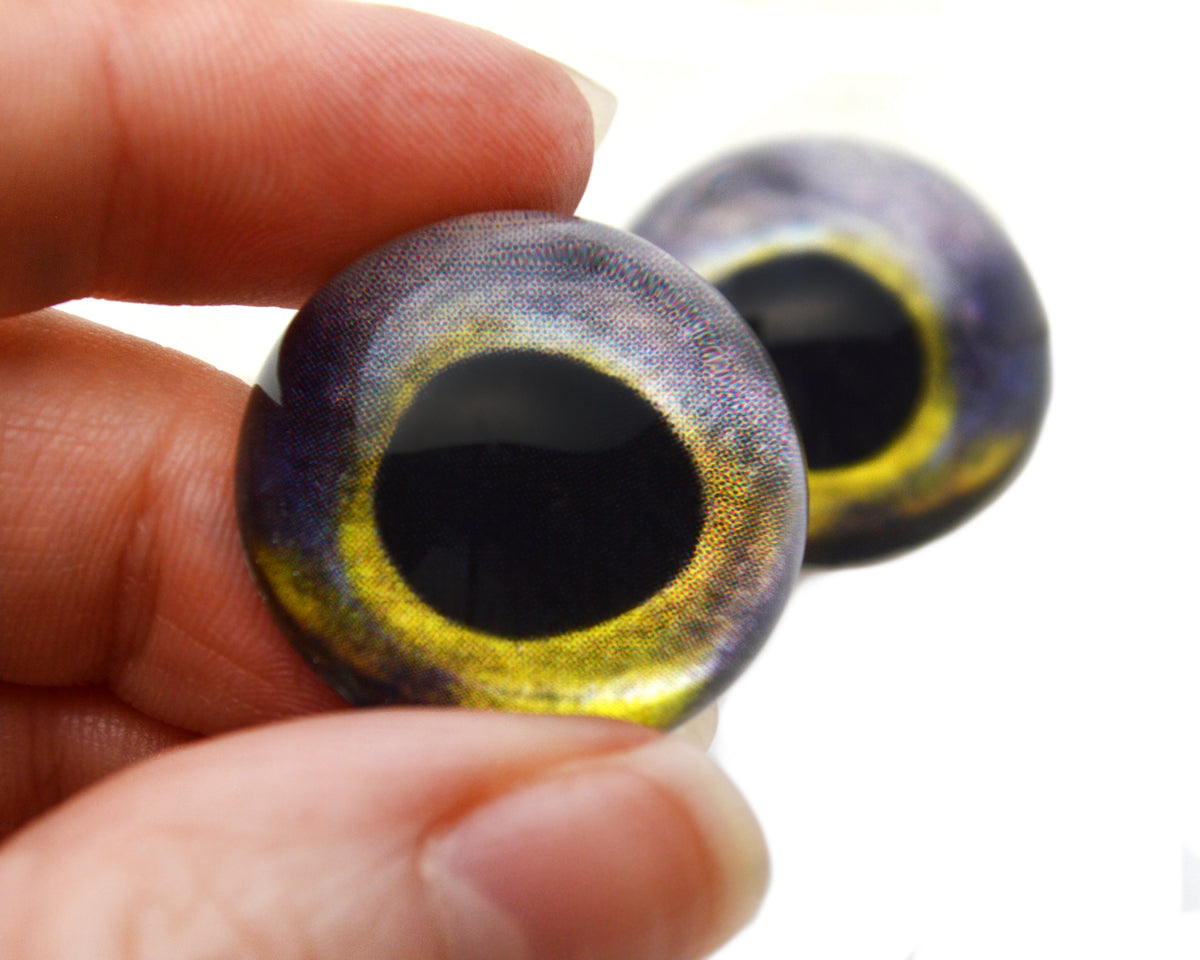 High Domed Northern Pike Predator Fish Glass Eyes – Handmade Glass Eyes