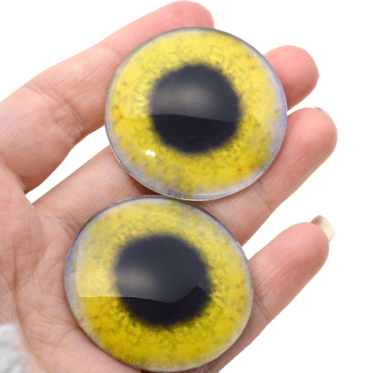 Yellow Osprey Glass Bird Eyes – Handmade Glass Eyes