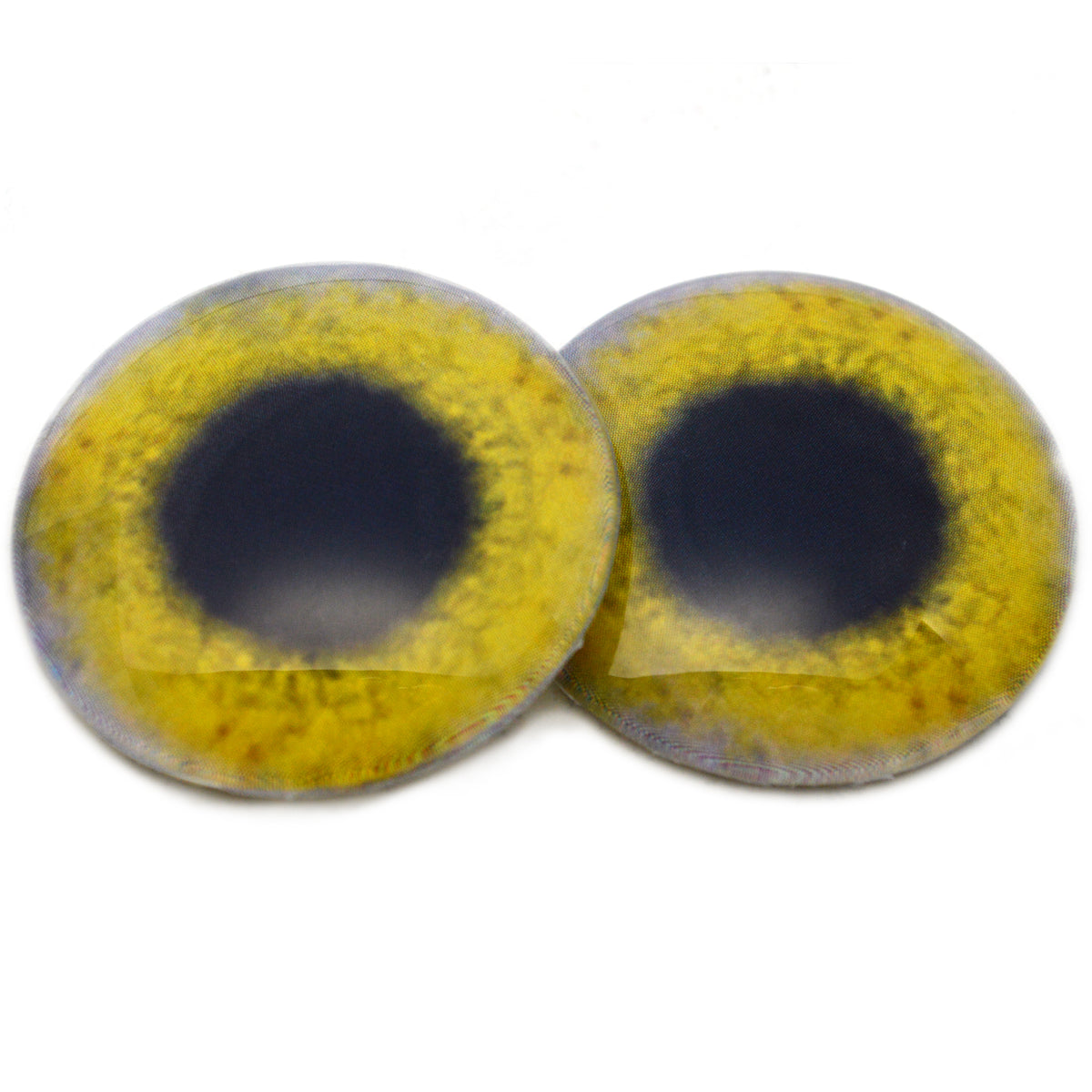 Yellow Osprey Glass Bird Eyes – Handmade Glass Eyes