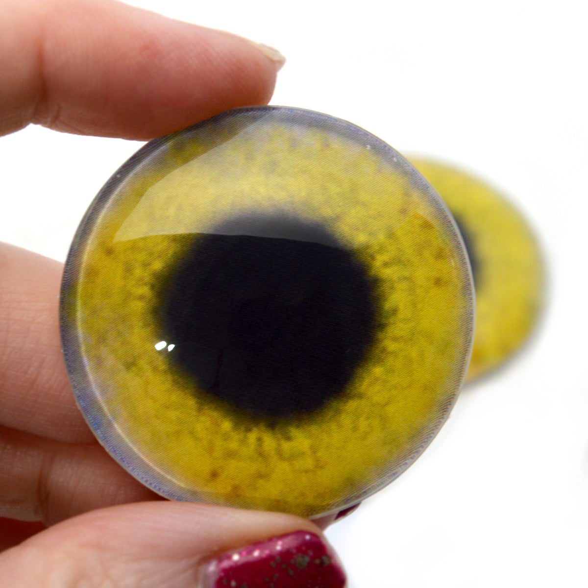 Yellow Osprey Glass Bird Eyes – Handmade Glass Eyes