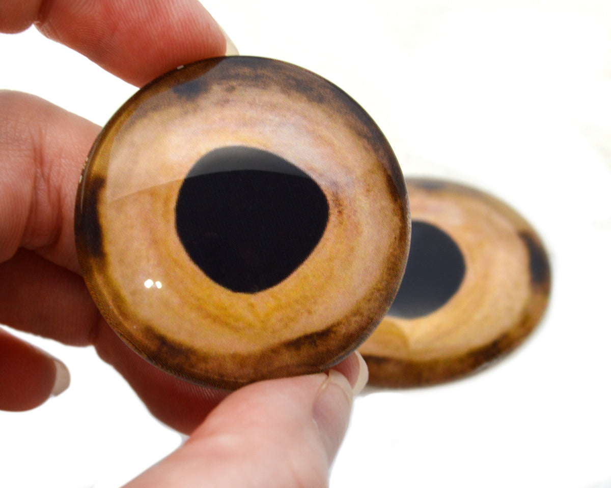 Beige Fish Glass Eyes – Handmade Glass Eyes