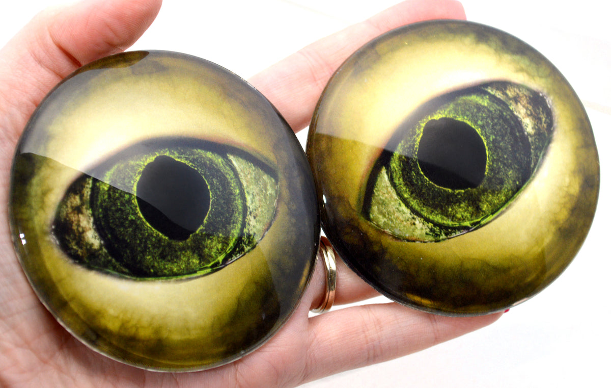 Black Lagoon Creature Glass Eyes – Handmade Glass Eyes