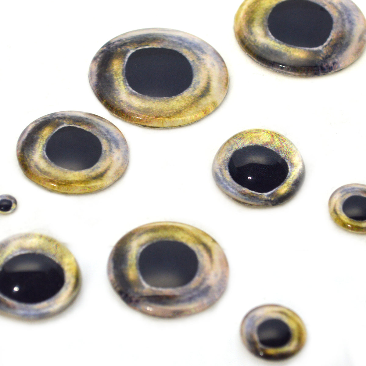 Coho Salmon Fish Glass Eyes – Handmade Glass Eyes