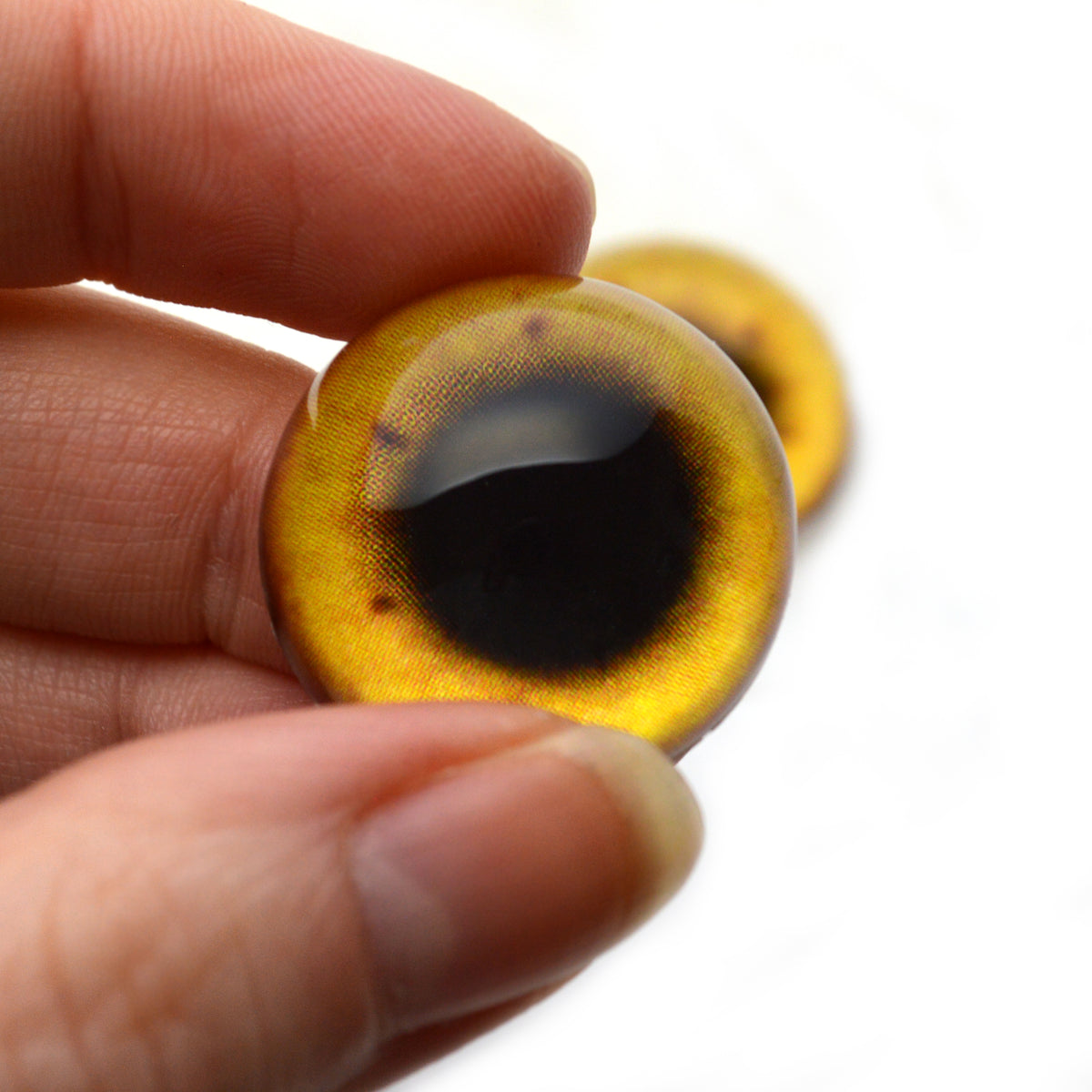 High Domed Egyptian Goose Glass Eyes – Handmade Glass Eyes