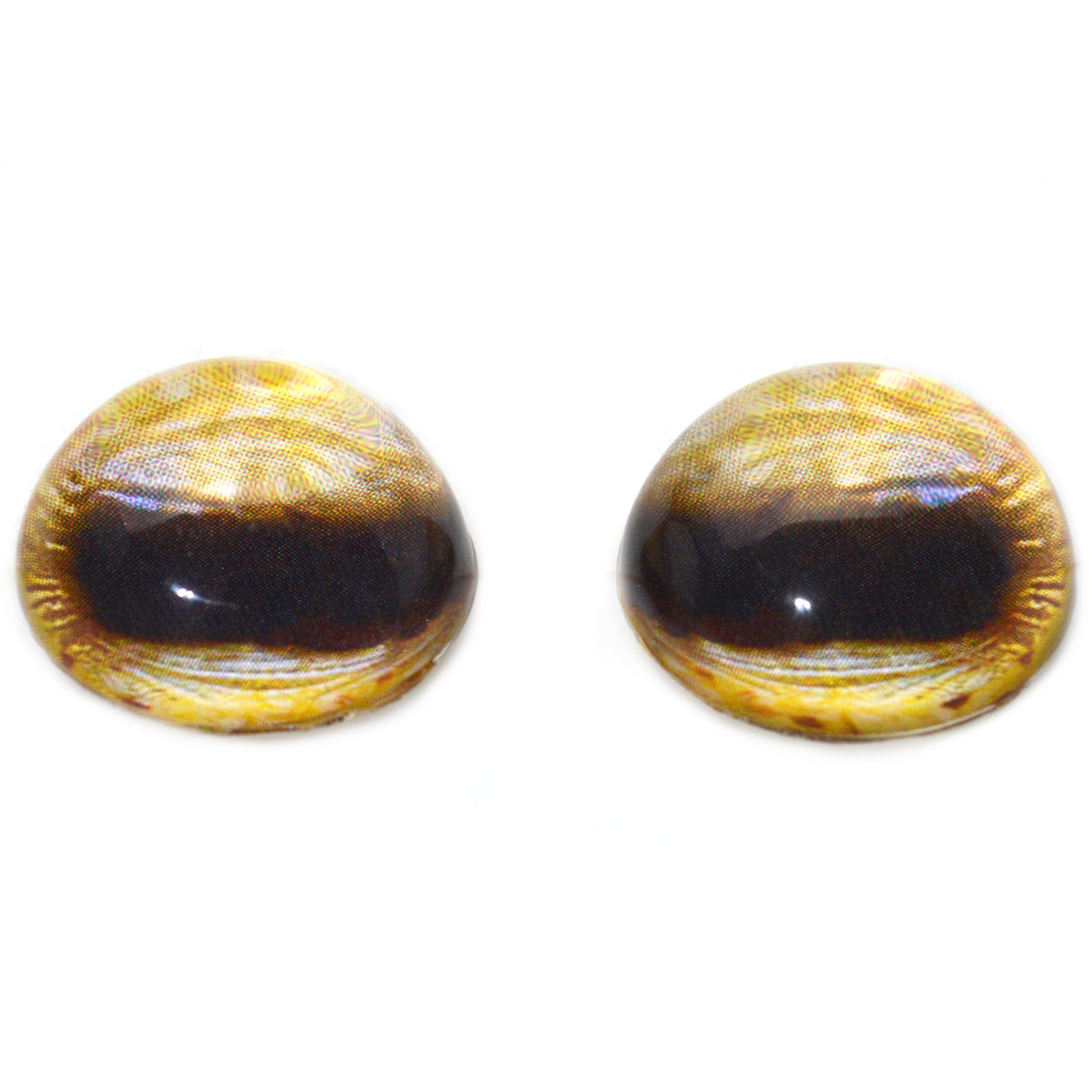 High Domed Golden Mountain Goat Glass Eyes – Handmade Glass Eyes