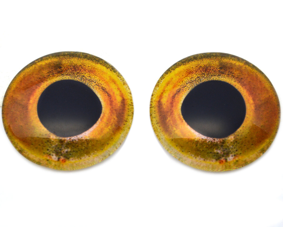 Golden Yellow Glass Fish Eyes – Handmade Glass Eyes