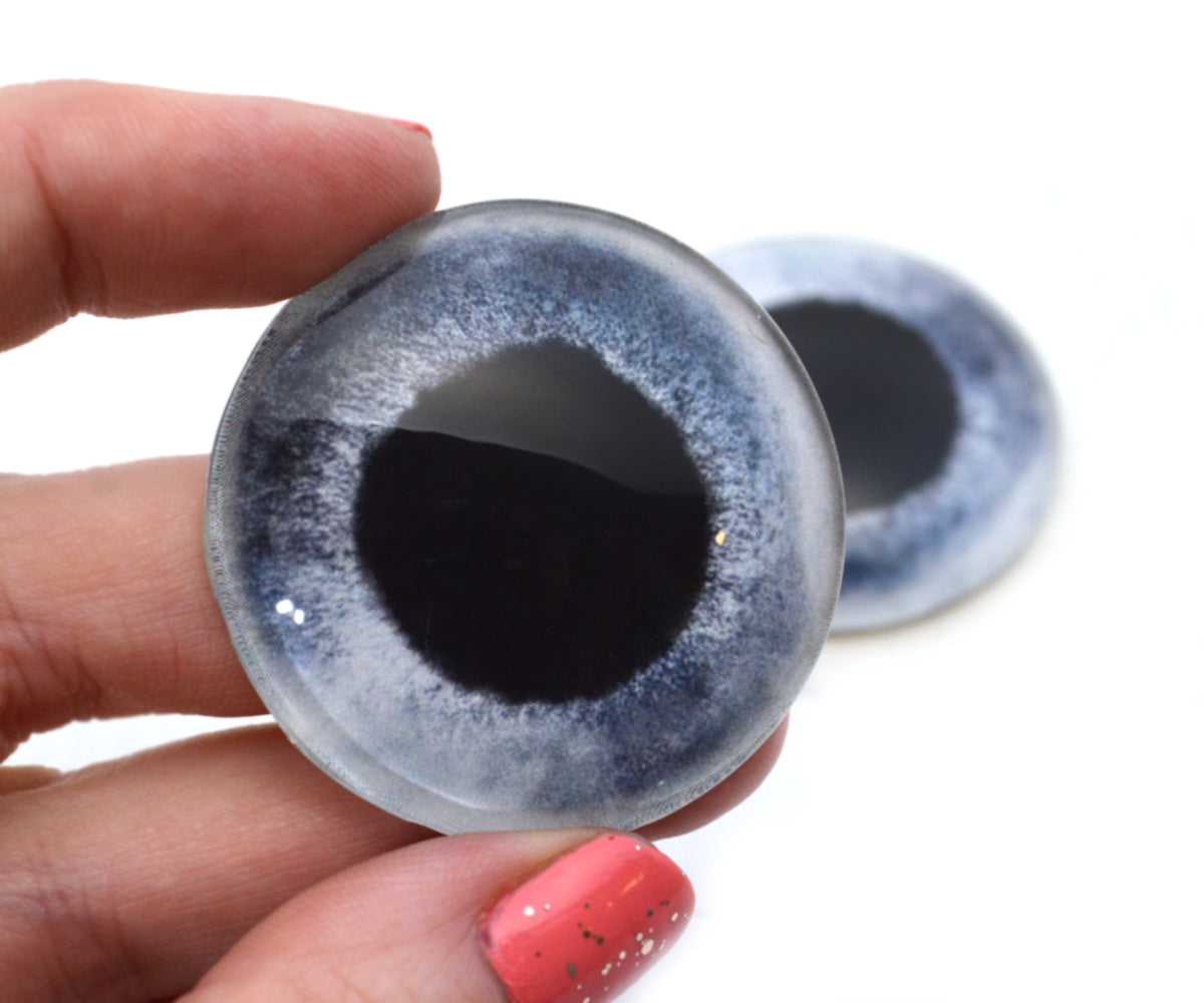 Hammerhead Shark Glass Eyes – Handmade Glass Eyes