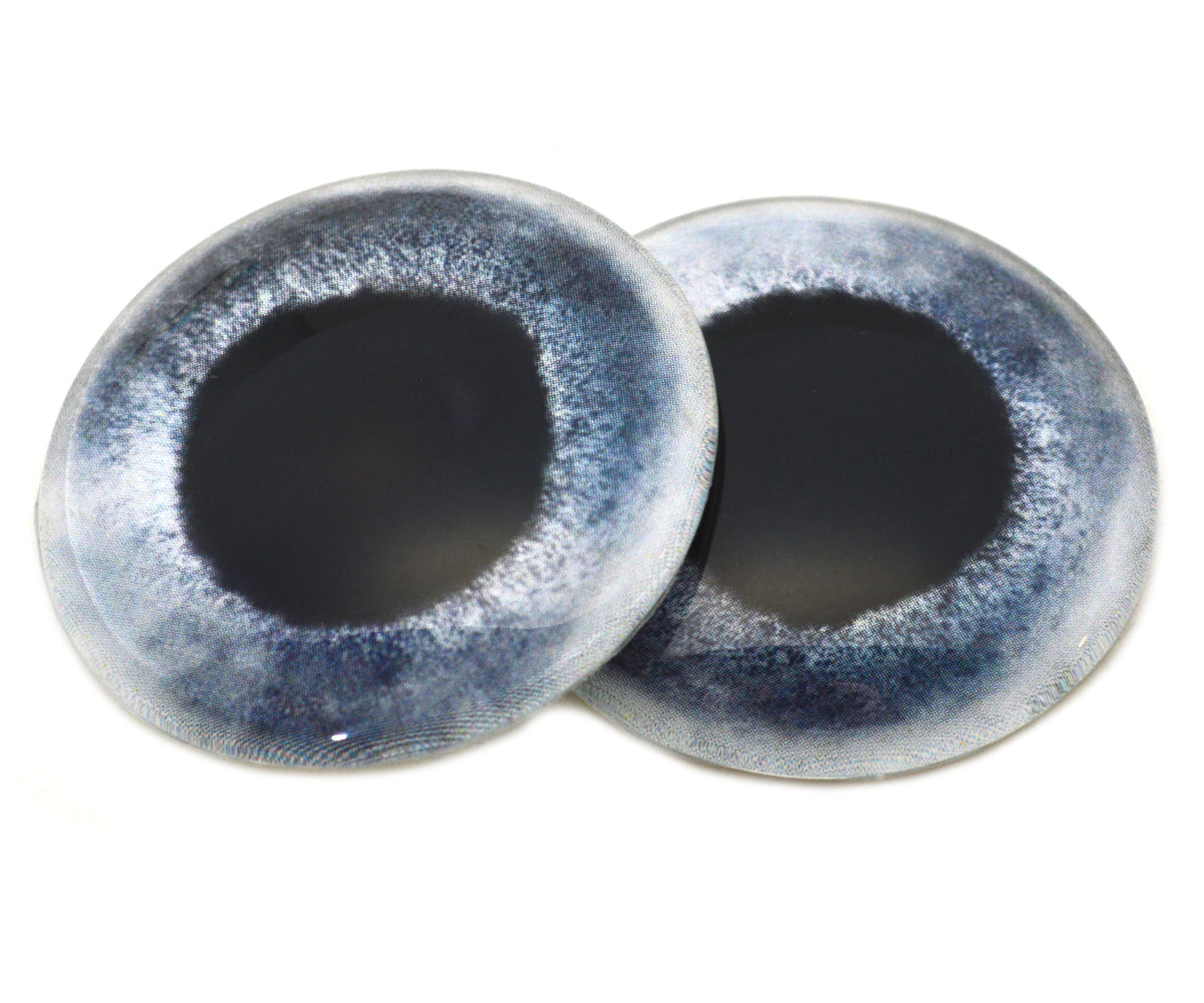 Hammerhead Shark Glass Eyes – Handmade Glass Eyes