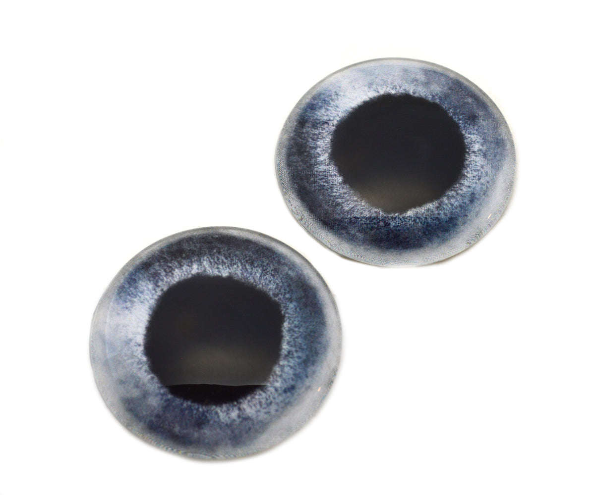 Hammerhead Shark Glass Eyes – Handmade Glass Eyes