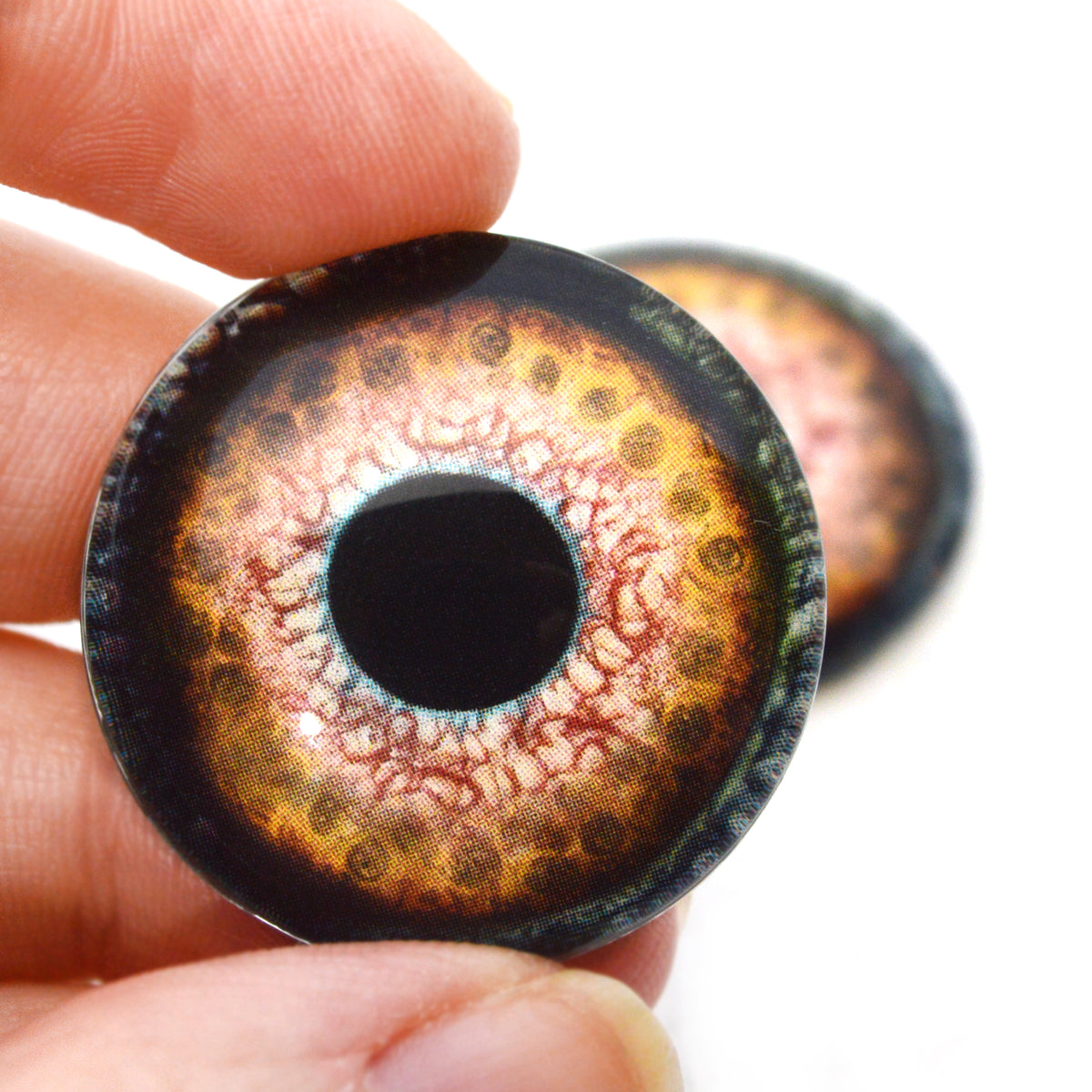Loch Ness Monster Glass Eyes – Handmade Glass Eyes