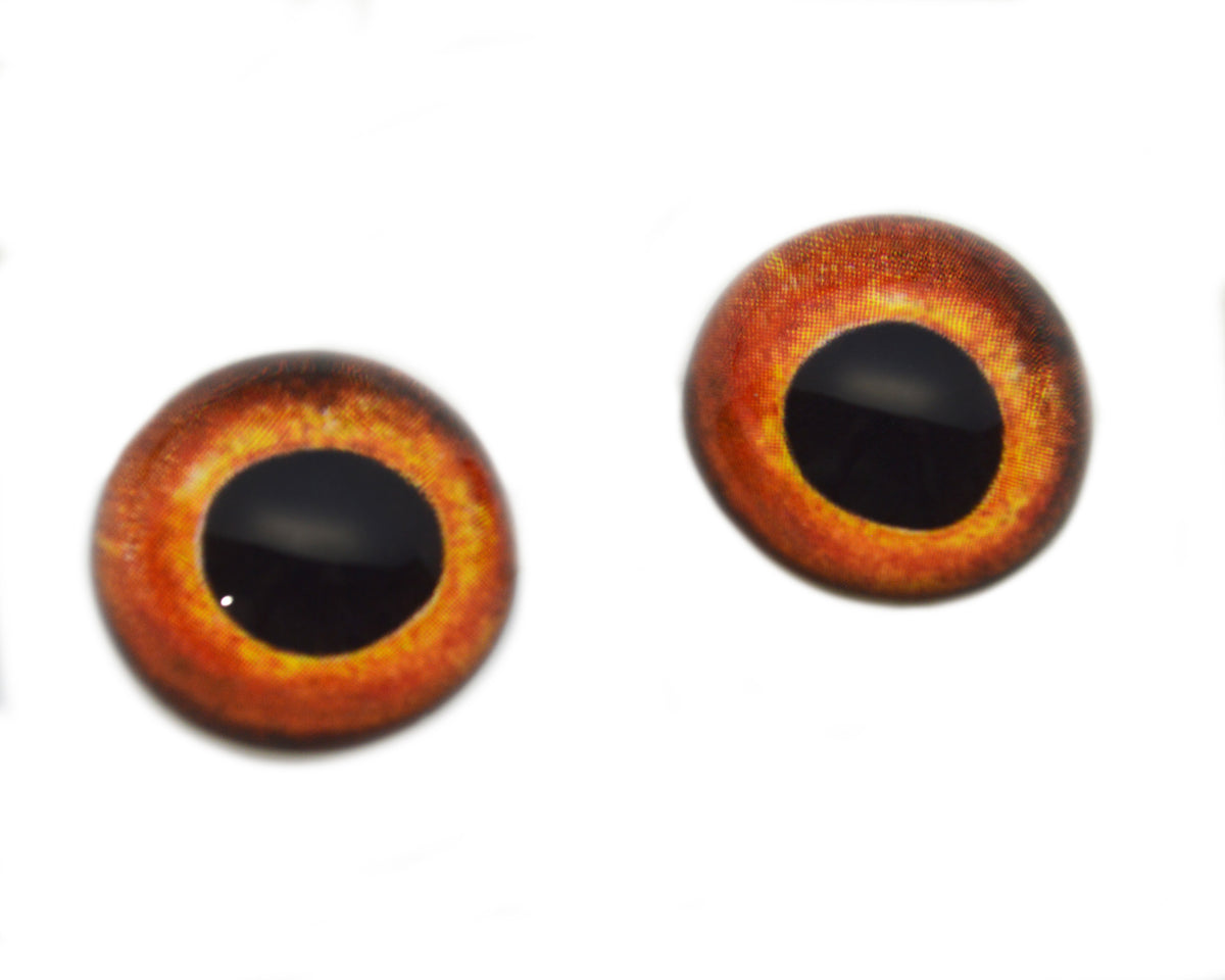 High Domed Orange Tench Fish Glass Eyes – Handmade Glass Eyes