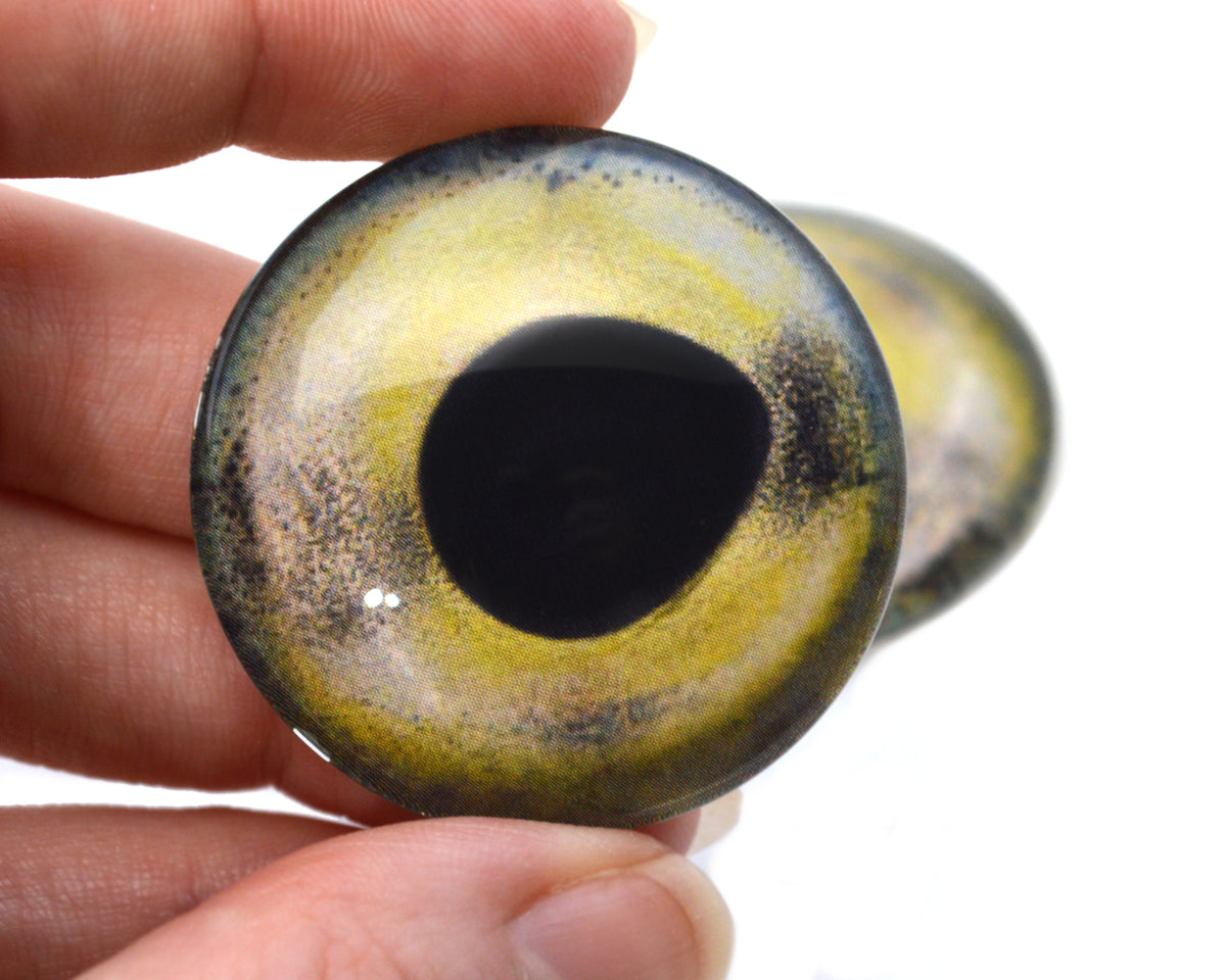 Rainbow Trout Fish Glass Eyes – Handmade Glass Eyes
