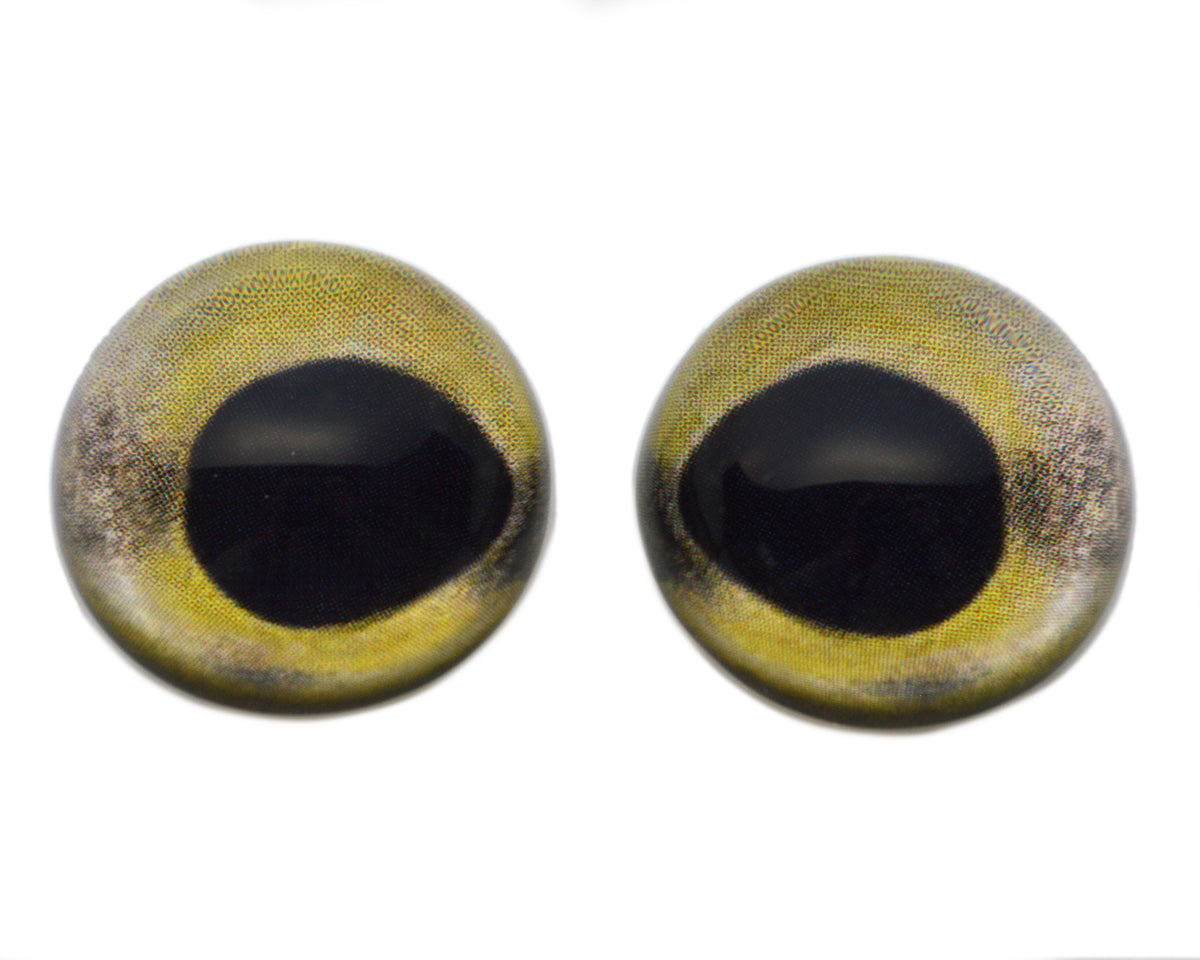 High Domed Rainbow Trout Fish Glass Eyes – Handmade Glass Eyes