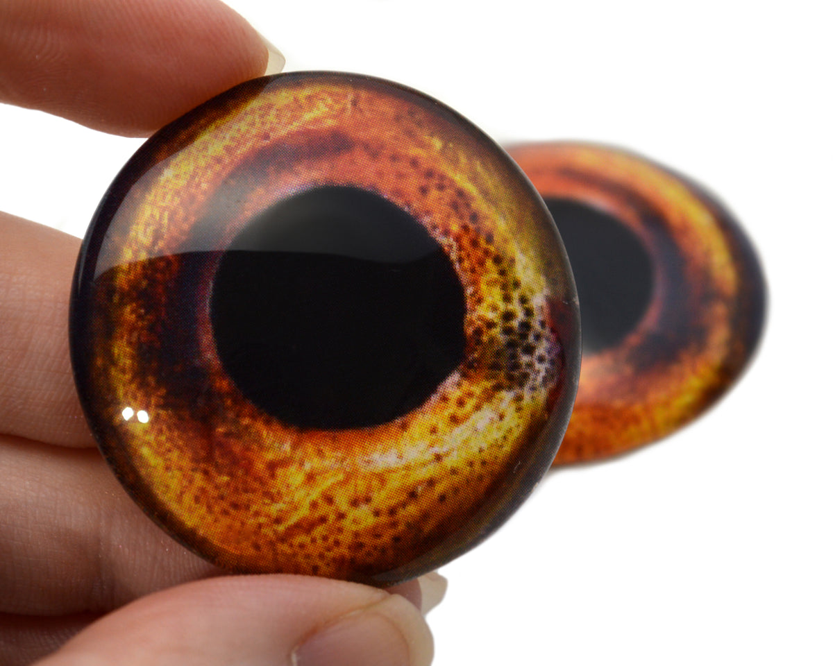 Roach Fish Glass Eyes – Handmade Glass Eyes