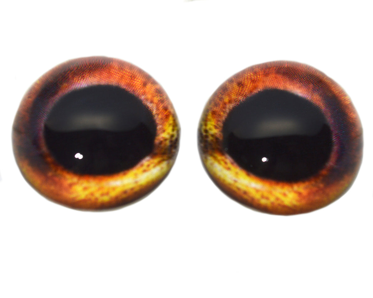High Domed Roach Glass Fish Eyes – Handmade Glass Eyes