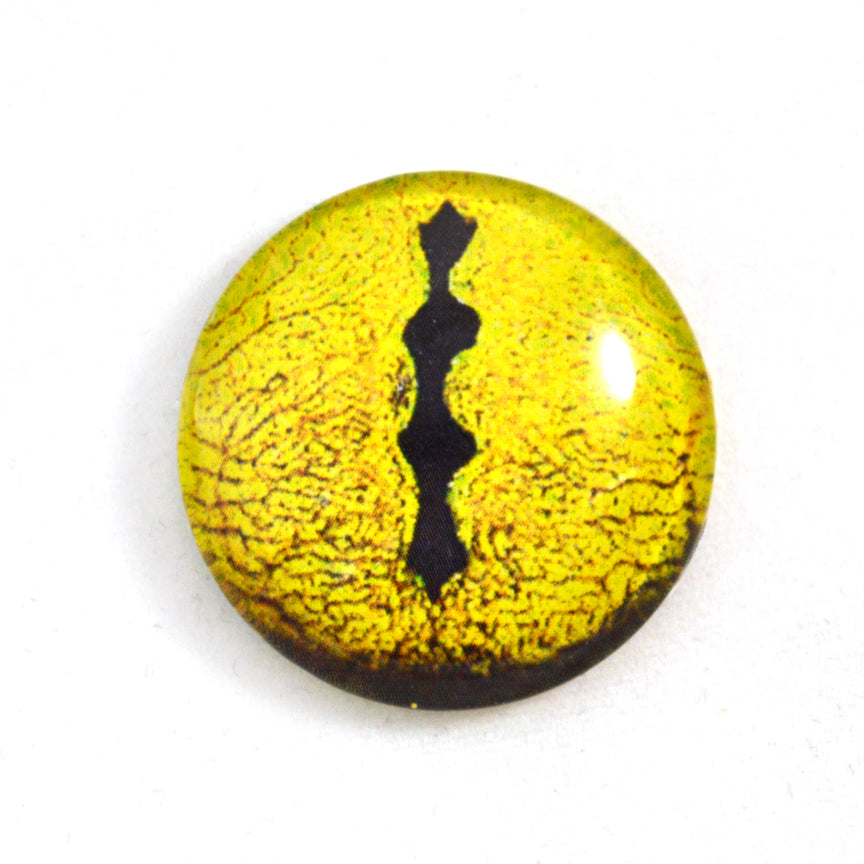 Yellow Snake Reptile Glass Eyes – Handmade Glass Eyes