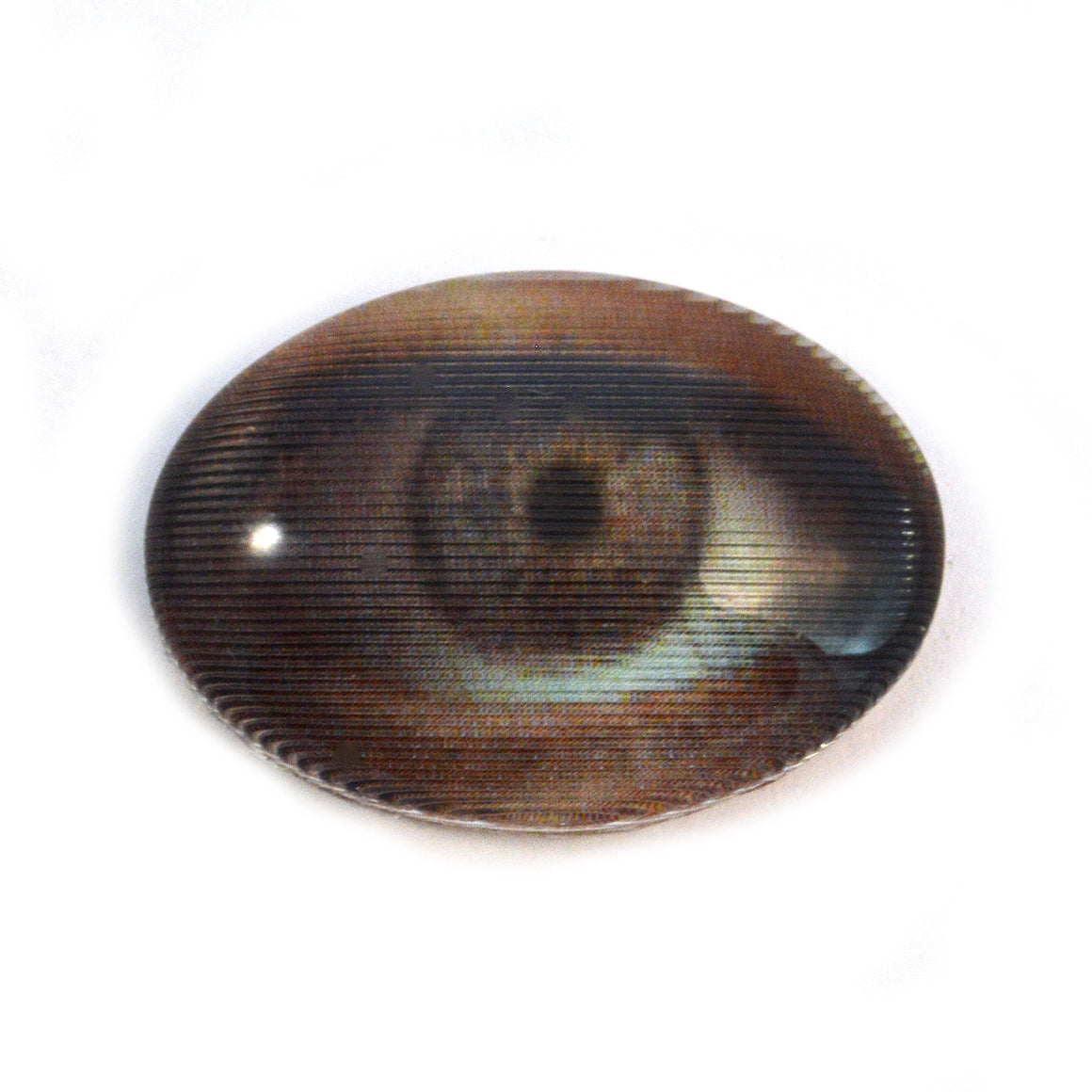 Oval Eyes – Handmade Glass Eyes