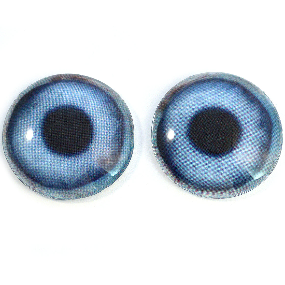 Glass Animal Eyes – Handmade Glass Eyes