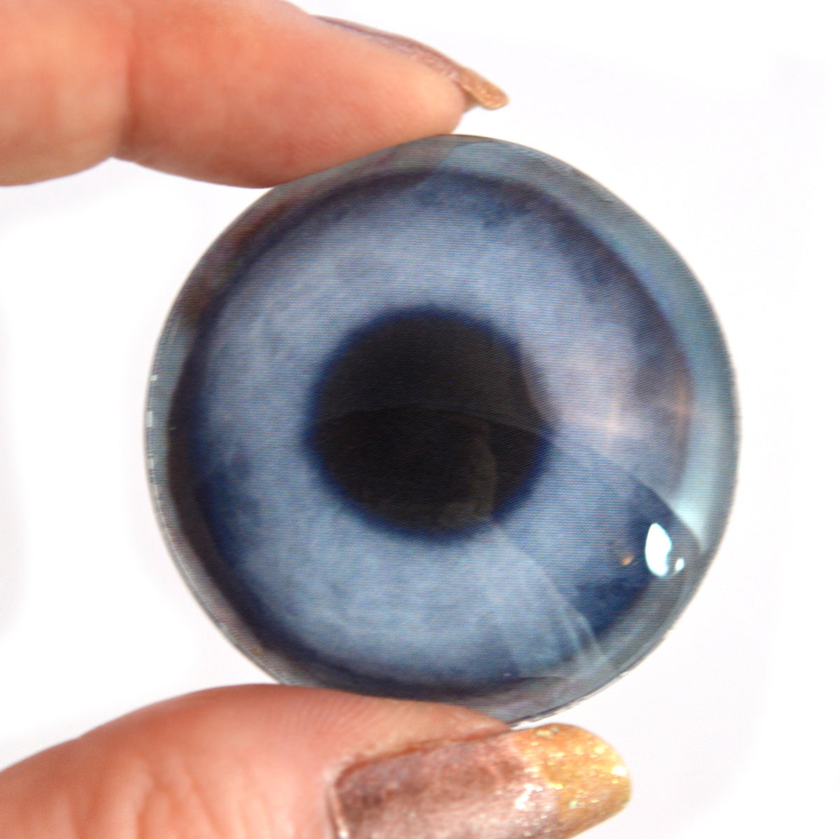 Blue Dog Glass Eyes – Handmade Glass Eyes