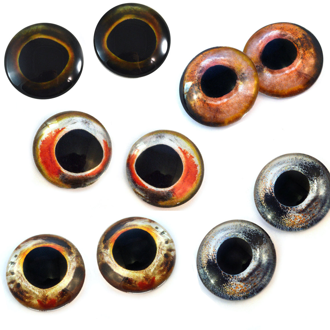 Glass Fish Eyes – Handmade Glass Eyes