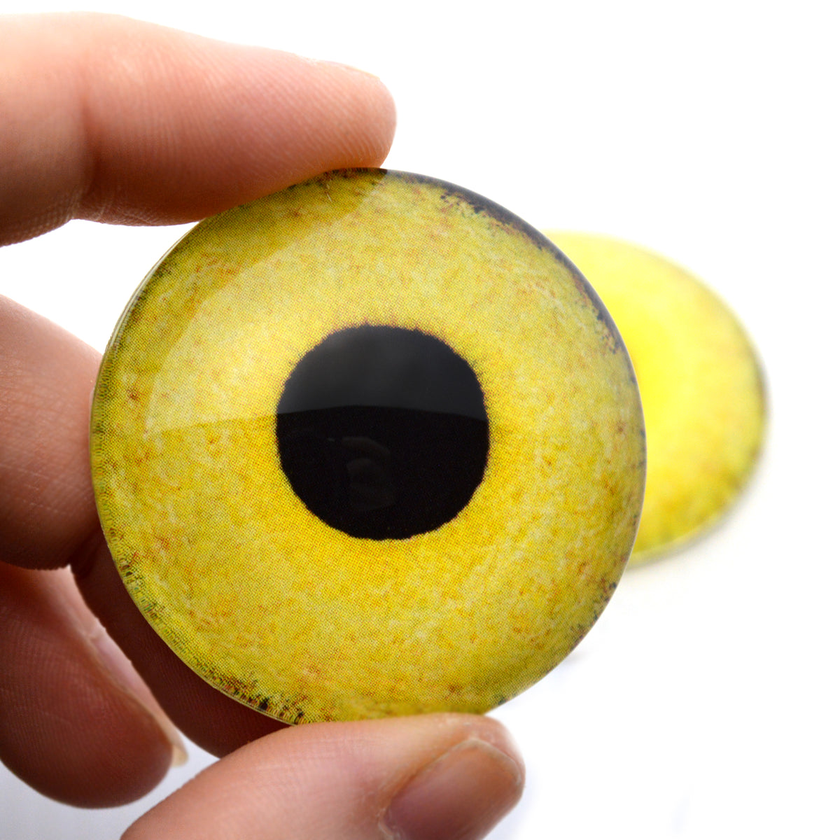 Light Yellow Owl Realistic Bird Glass Eyes – Handmade Glass Eyes