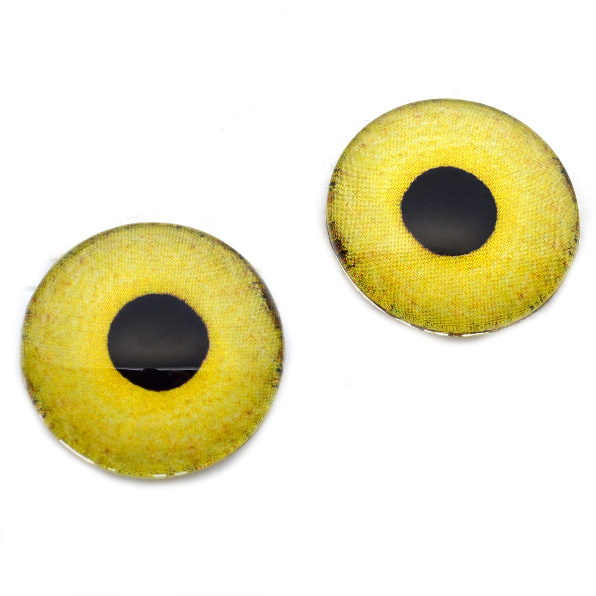 Light Yellow Owl Realistic Bird Glass Eyes – Handmade Glass Eyes