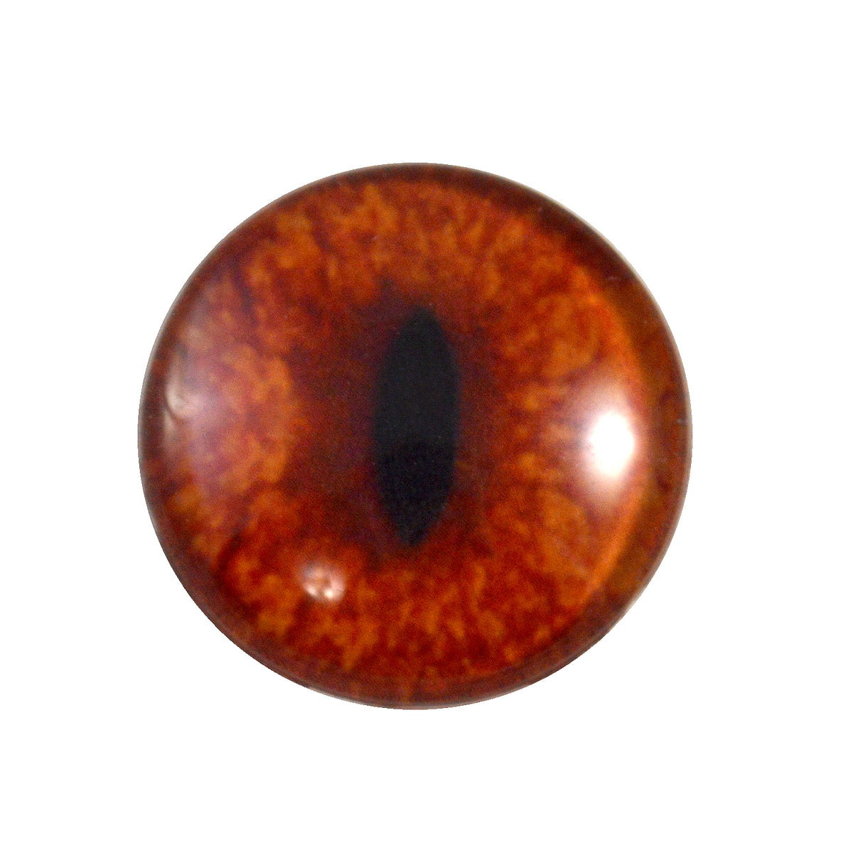 Red Fox Glass Eyes – Handmade Glass Eyes