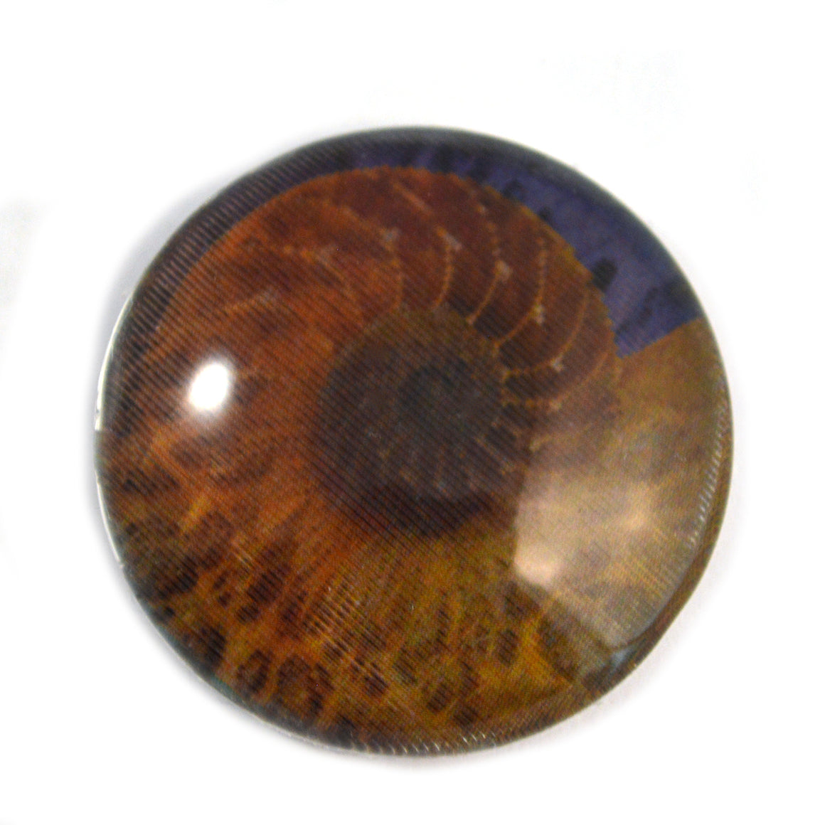 Original Glass Cabochons – Handmade Glass Eyes
