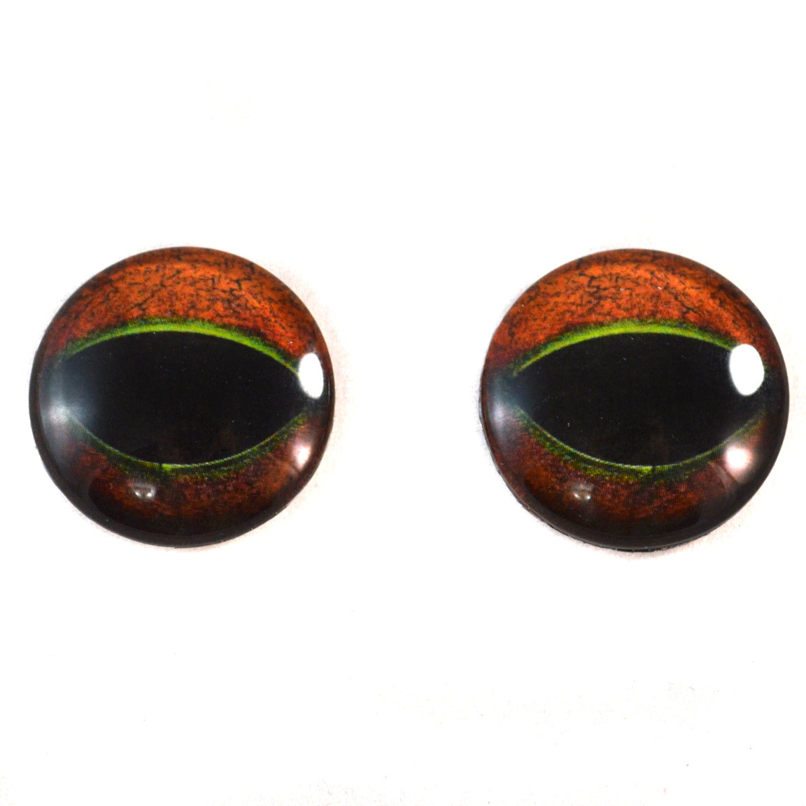 Reptile Glass Eyes – Handmade Glass Eyes