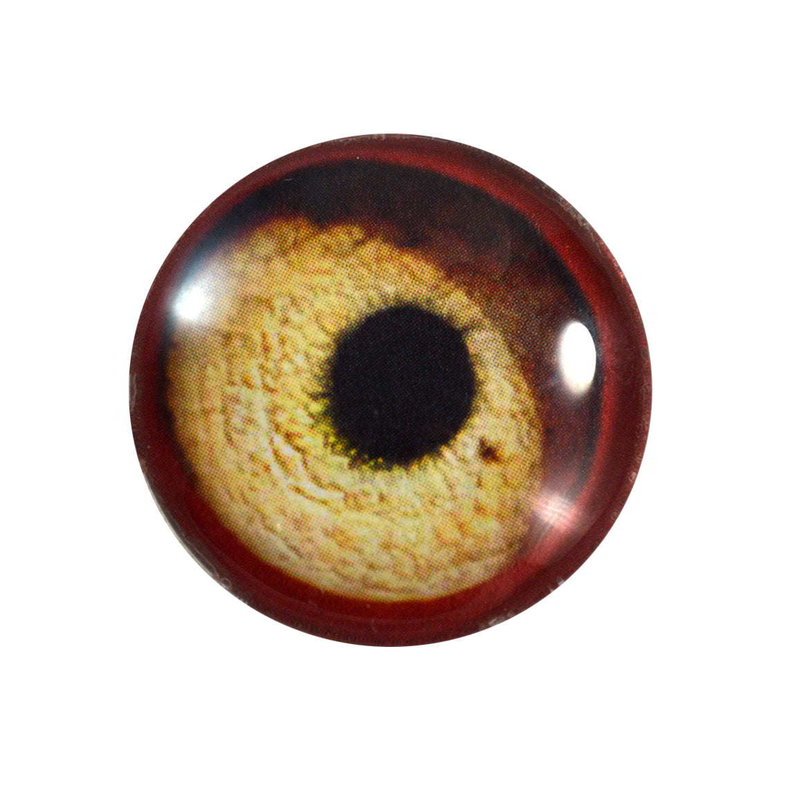 Glass Animal Eyes – Page 3 – Handmade Glass Eyes