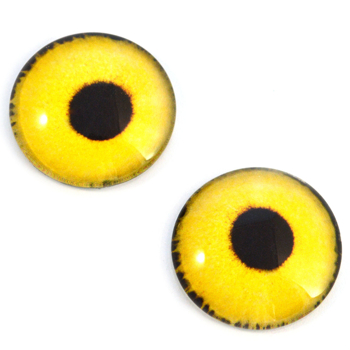 Glass Animal Eyes – Handmade Glass Eyes
