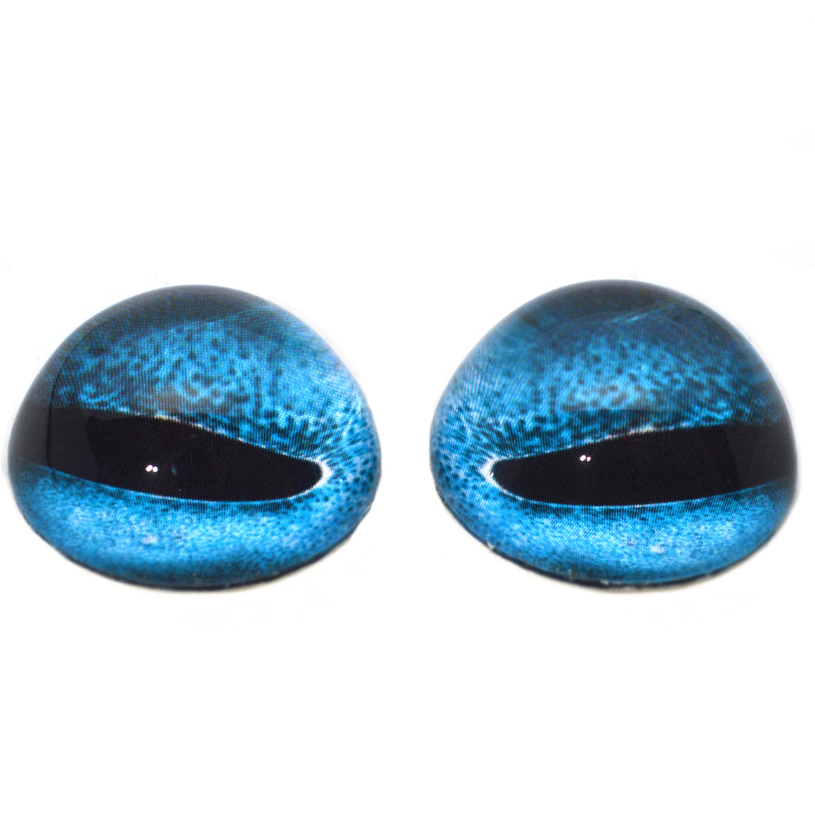 High Domed Blue Octopus Glass Eyes – Handmade Glass Eyes