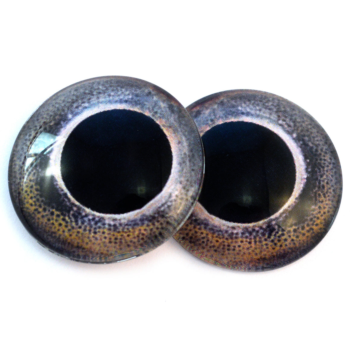 Glass Fish Eyes – Handmade Glass Eyes