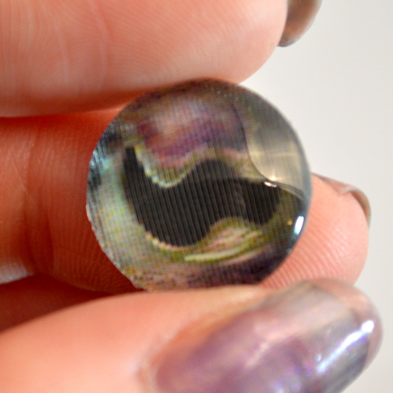 16mm Color Changing Animated Cuttlefish Glass Eyes – Handmade Glass Eyes