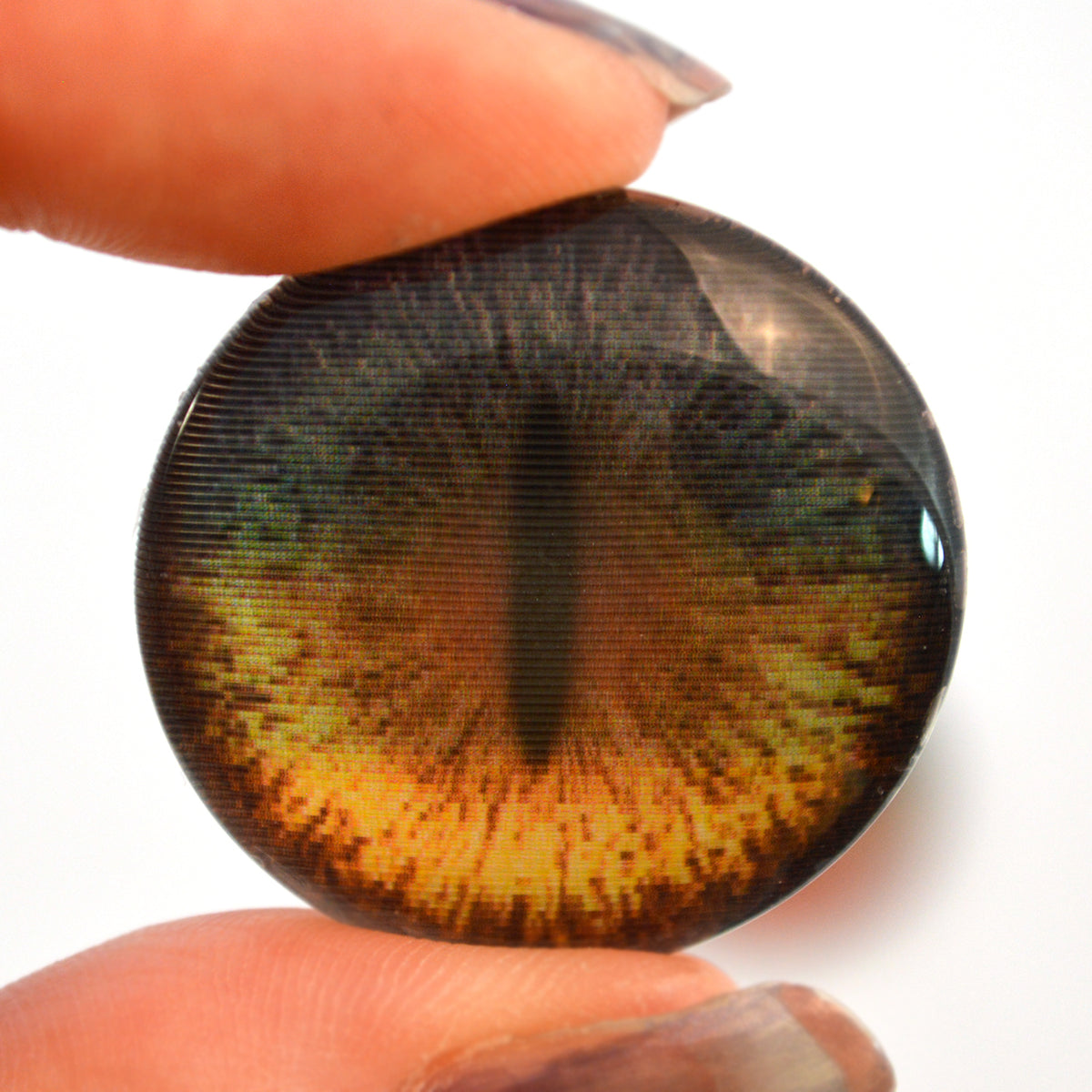 30mm Color Changing Fantasy Creature Animated Glass Eyes – Handmade ...