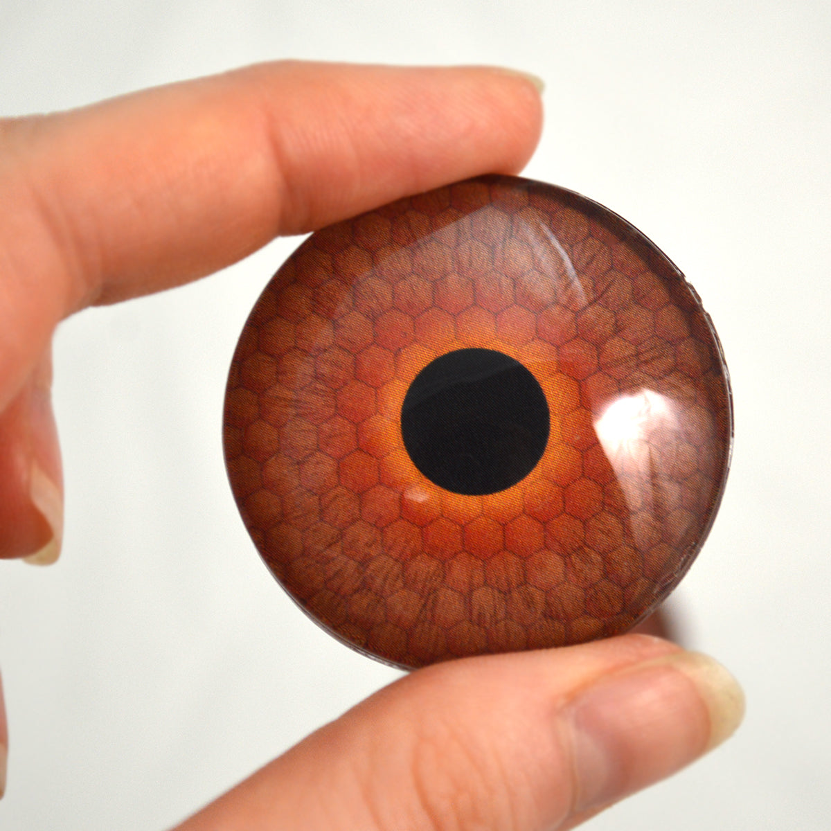 Deep Amber Honeycomb Glass Eyes – Handmade Glass Eyes