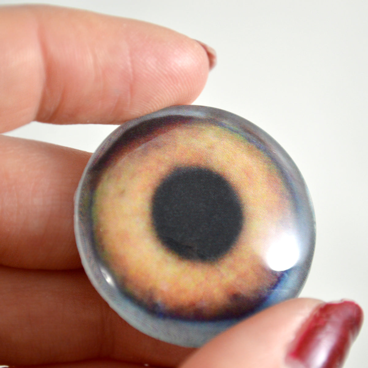 Light Brown Dog Glass Eyes – Handmade Glass Eyes