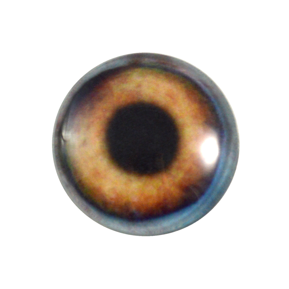 Glass Animal Eyes – Handmade Glass Eyes