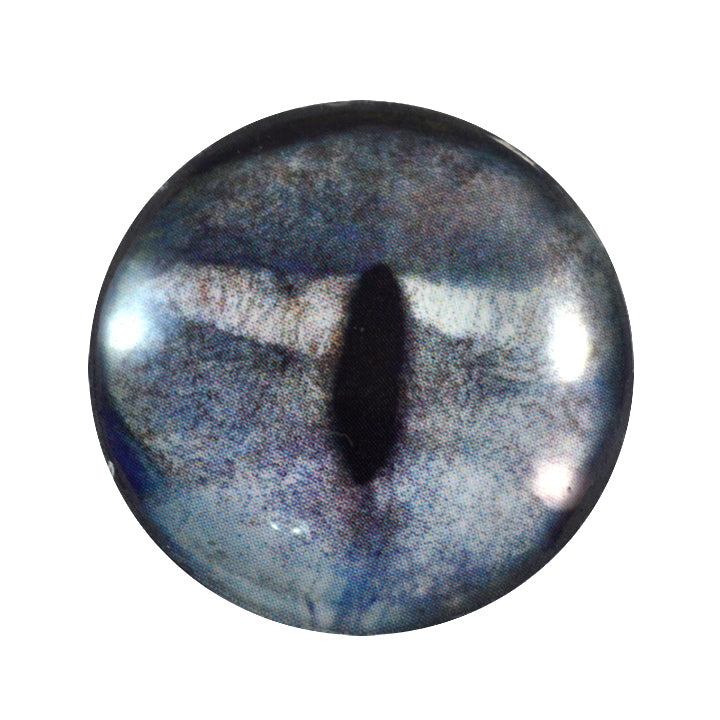 Shark Glass Eyes – Handmade Glass Eyes