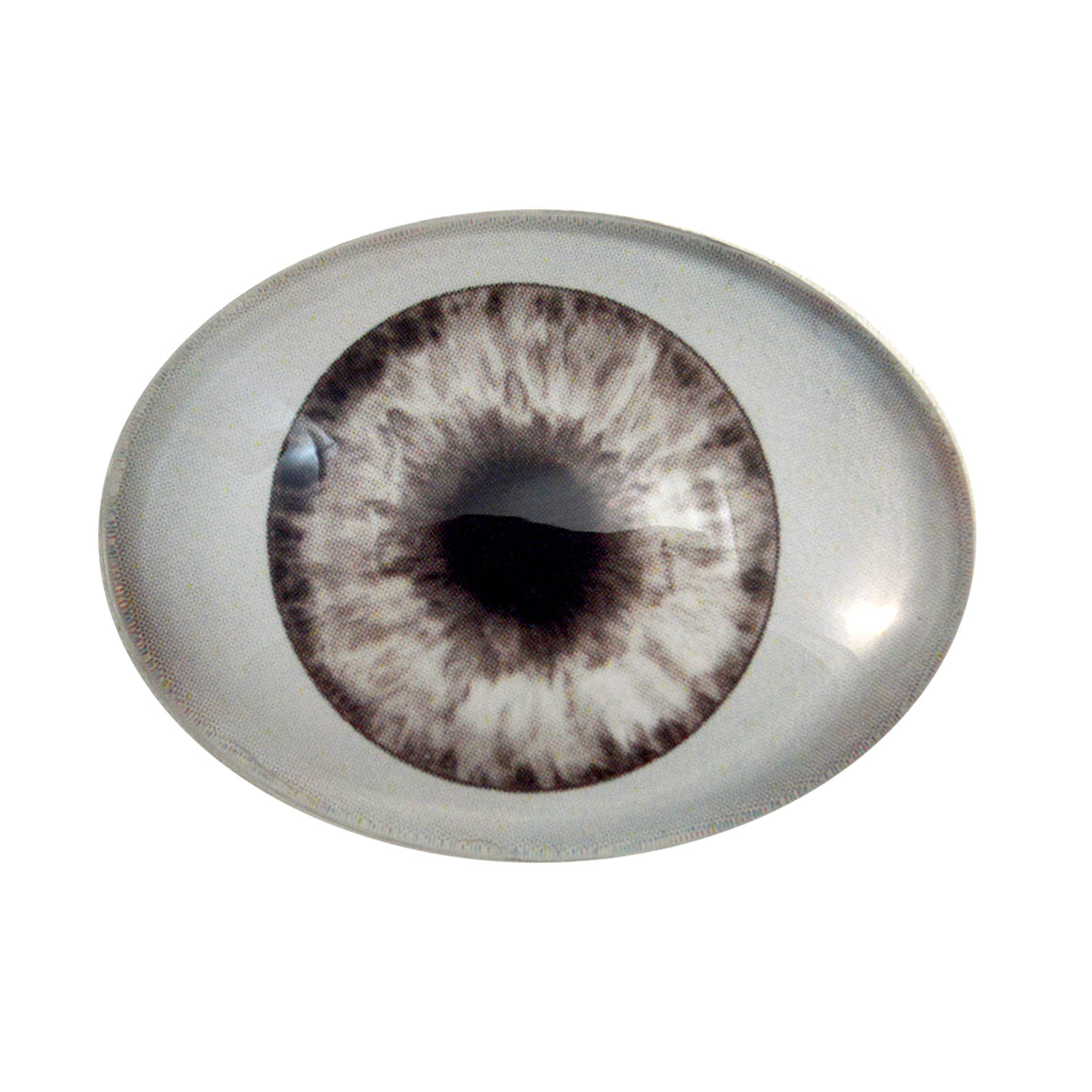 Oval Eyes – Handmade Glass Eyes