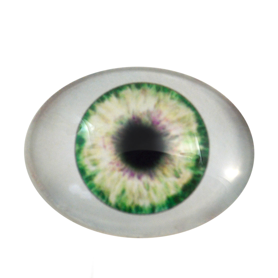Oval Eyes – Handmade Glass Eyes