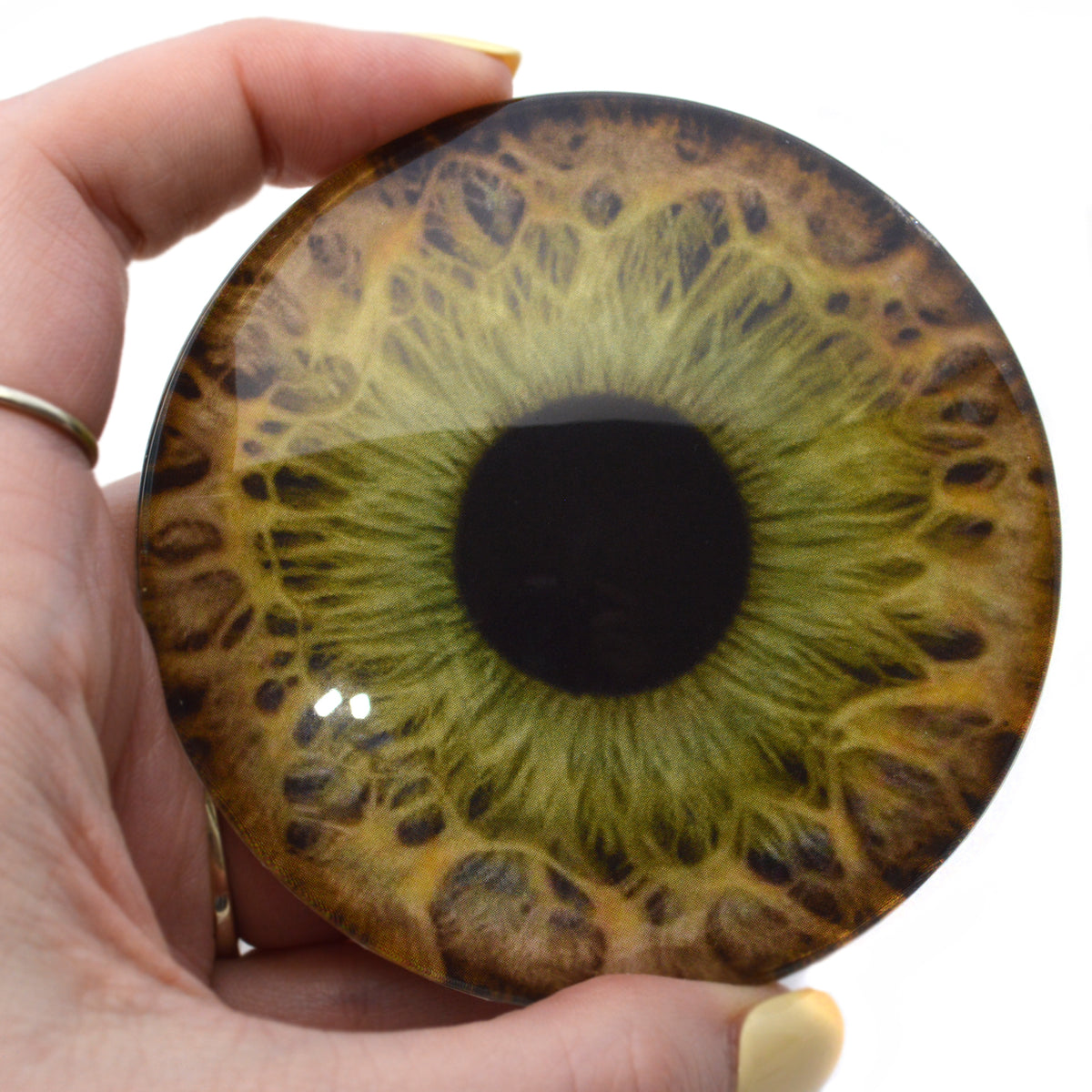 Large 78mm Hazel Human Glass Eyes – Handmade Glass Eyes