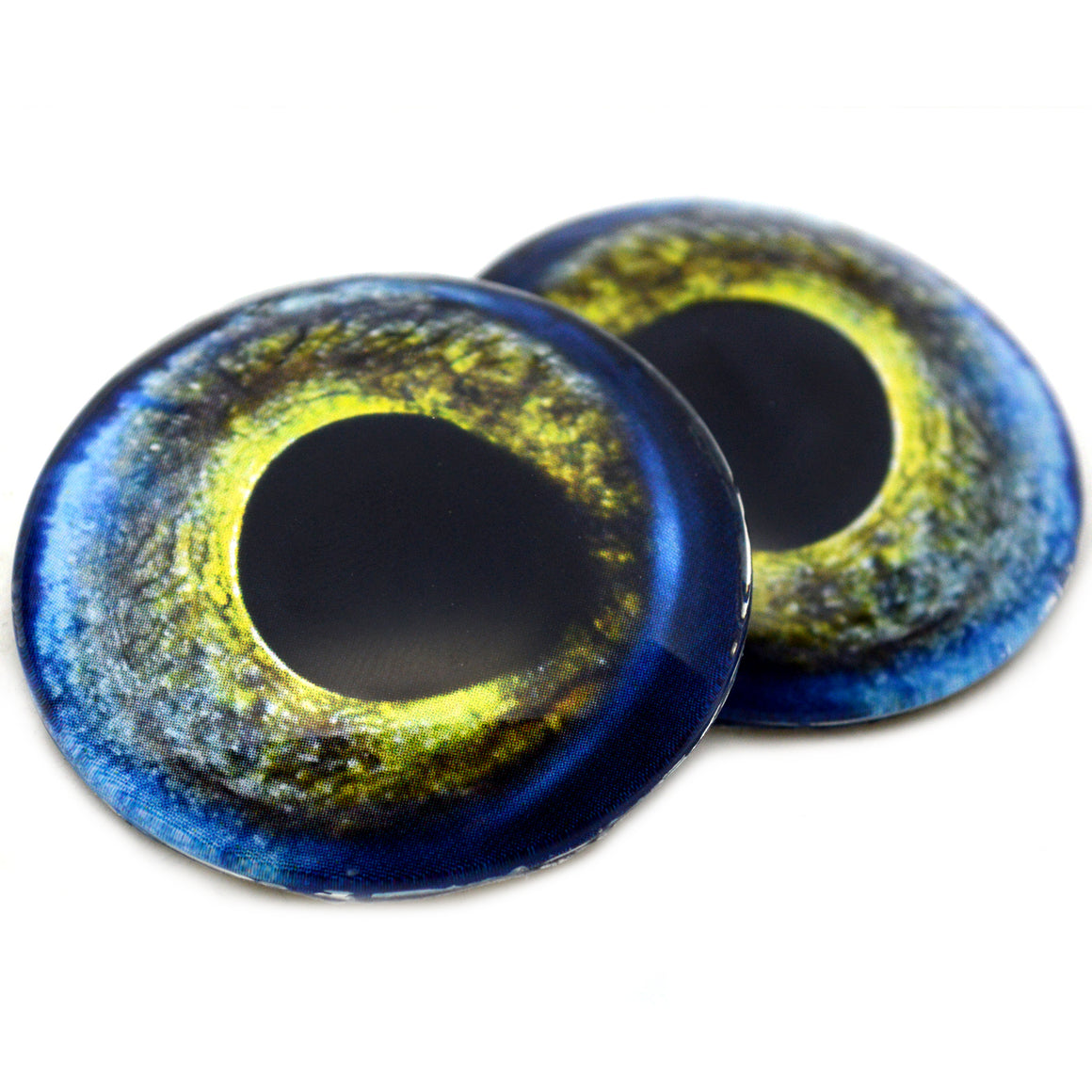Glass Fish Eyes – Handmade Glass Eyes