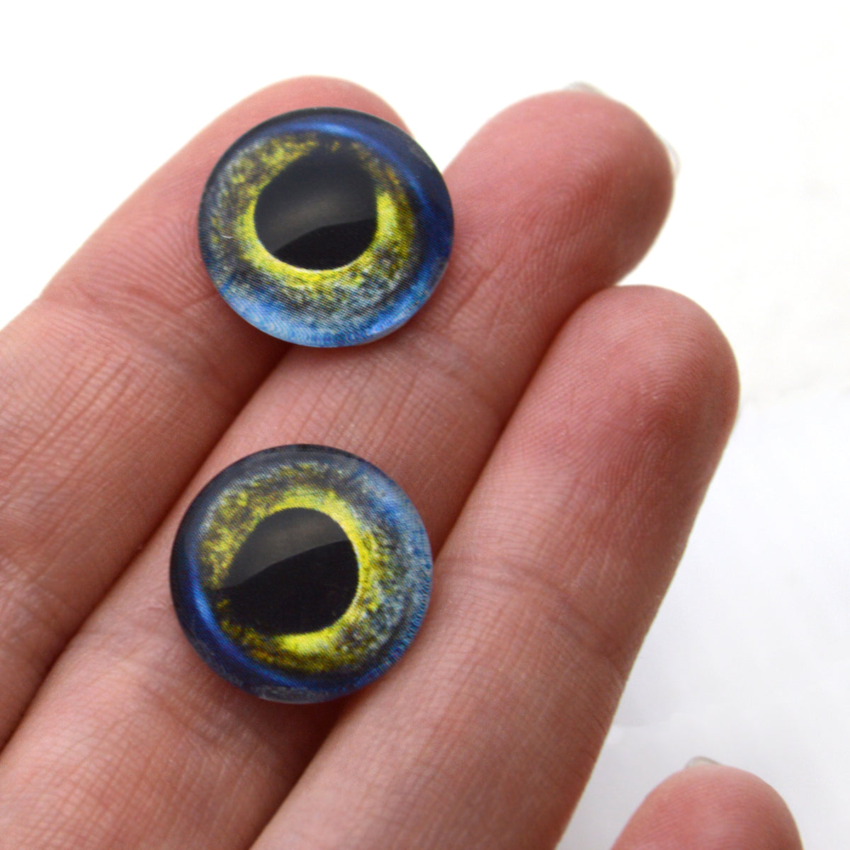 Moray Eel Glass Eyes – Handmade Glass Eyes
